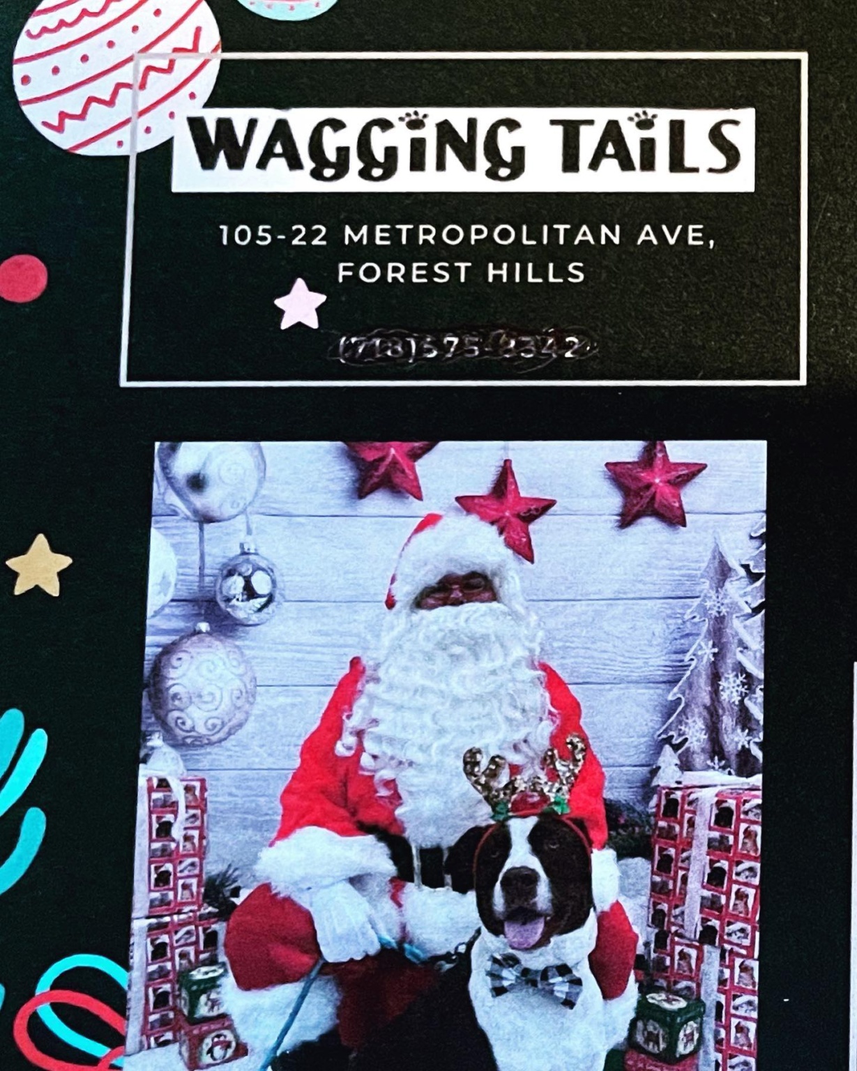 TUFF TAILS Animal Rescue – The Rescue that Rocks!